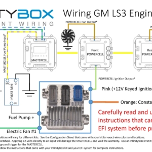 Haltech ECU Wiring Diagram - Infinitybox